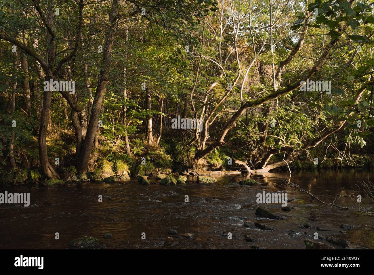 Amazing autumn colours in the countryside Stock Photo - Alamy