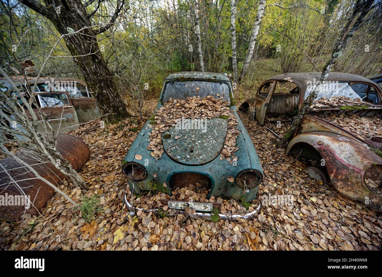 Bastnäs Car Cemetery in October Stock Photo - Alamy