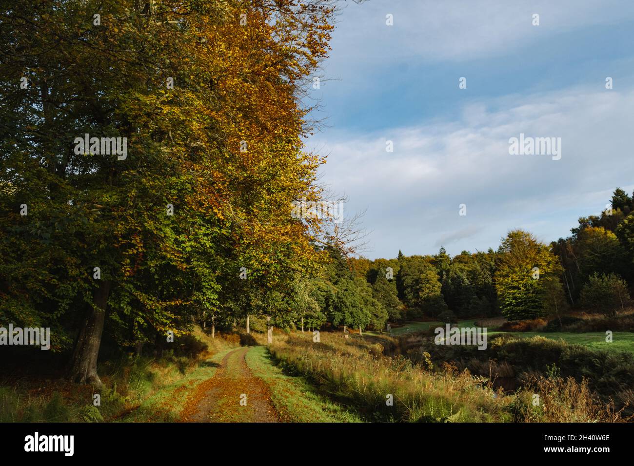Amazing autumn colours in the countryside Stock Photo - Alamy