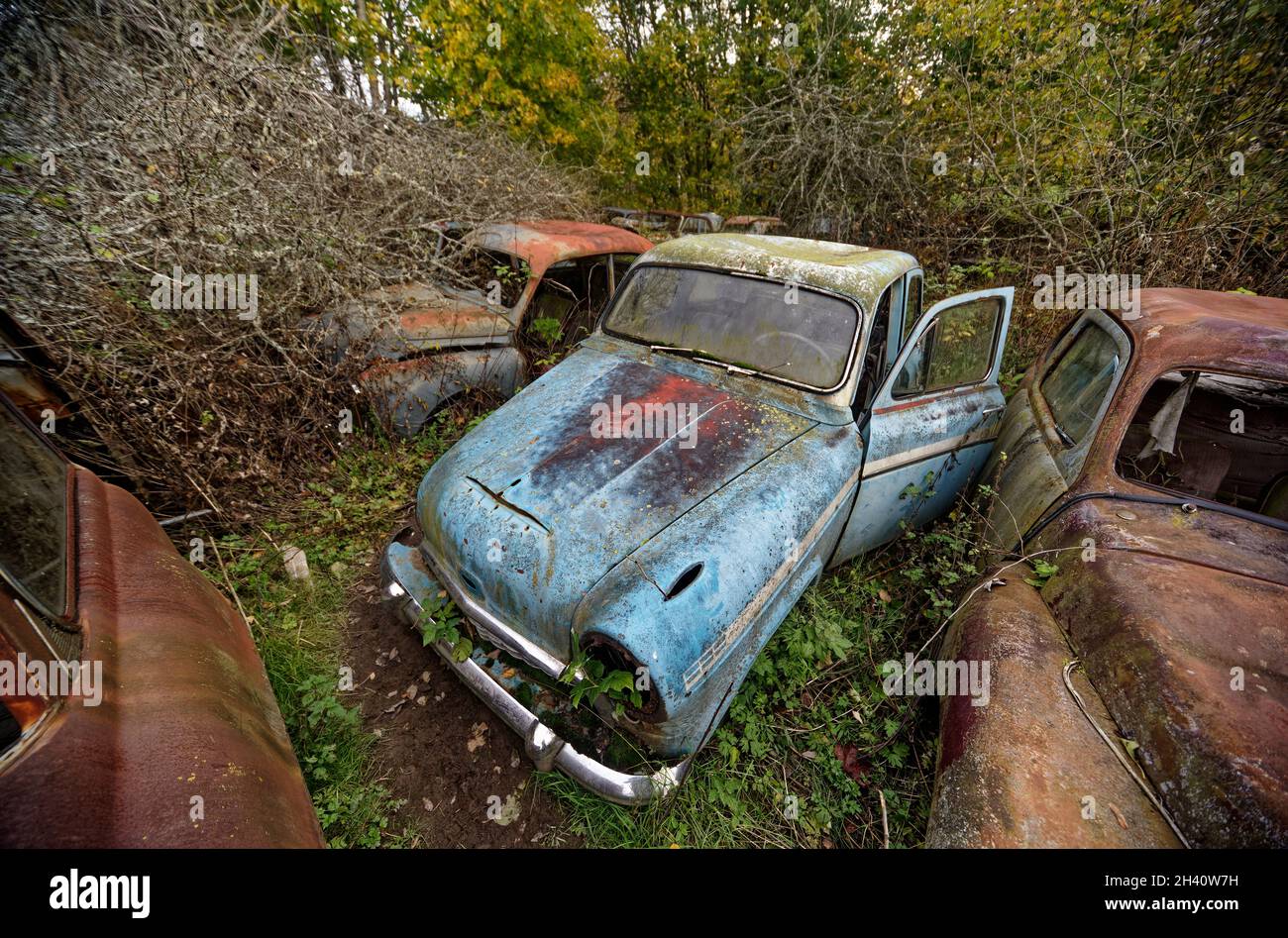 Bastnäs Car Cemetery in October Stock Photo - Alamy