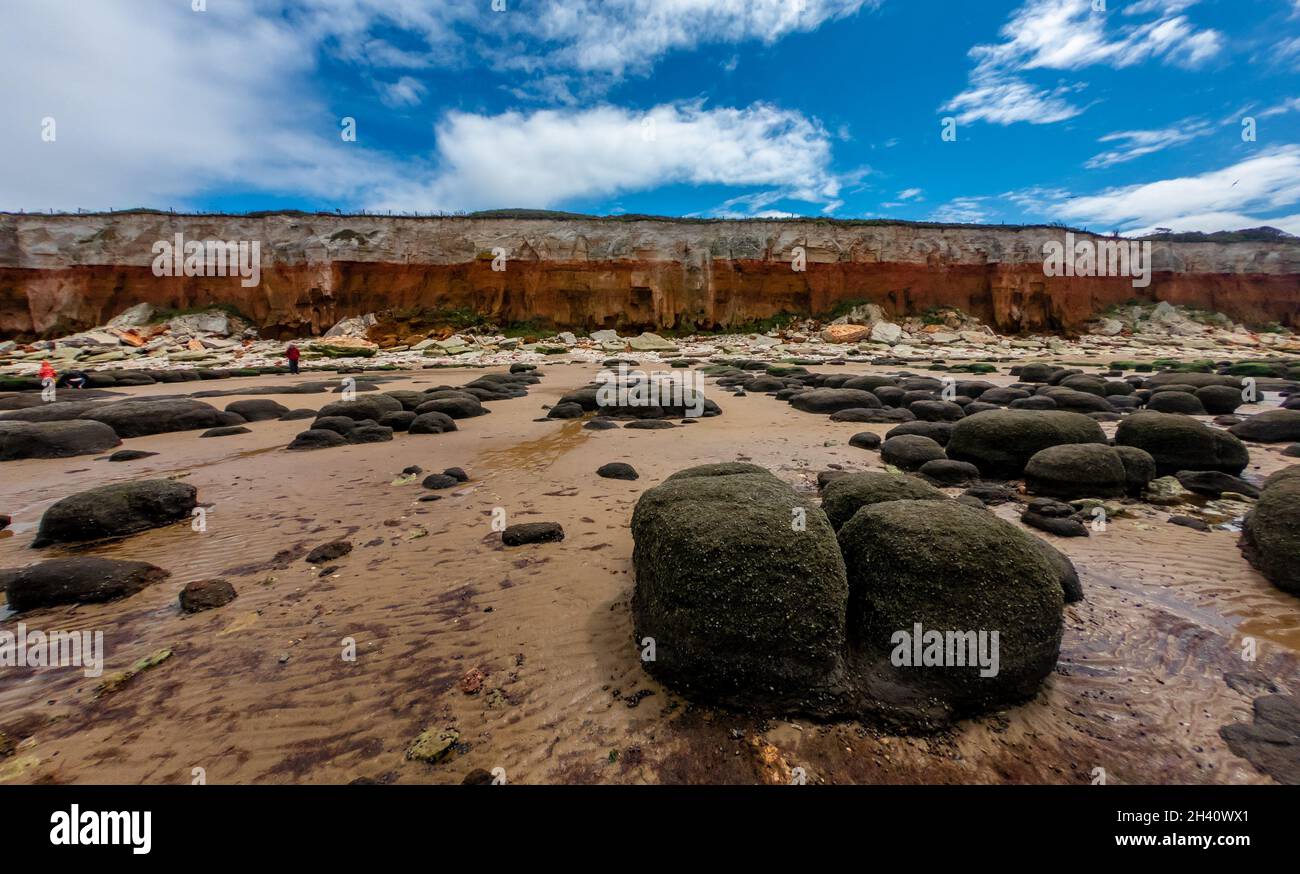 Fossils sedimentary rock hi-res stock photography and images - Alamy