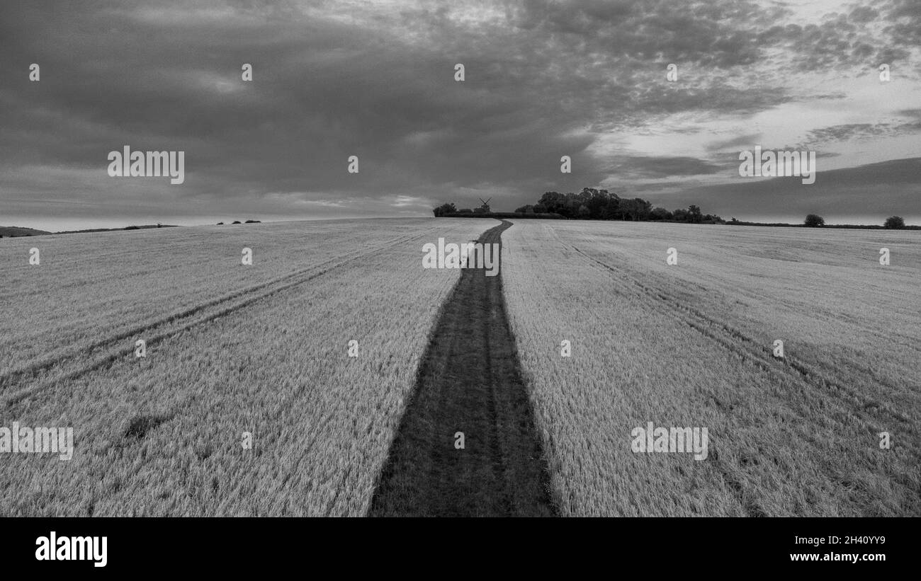 Butser hill and hampshire Black and White Stock Photos & Images - Alamy