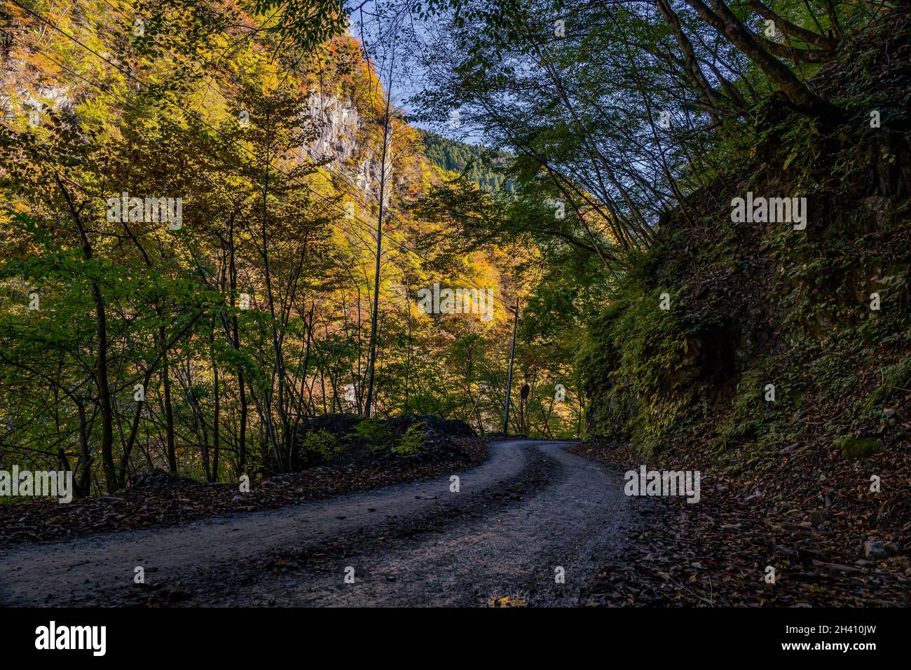 Okutama mountains hi-res stock photography and images - Alamy