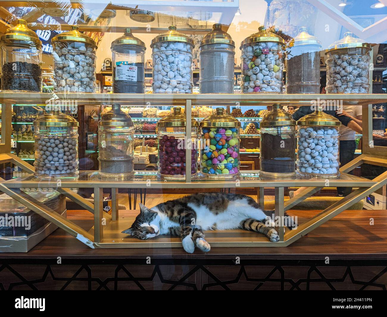 ISTANBUL, TURKEY - JULY 15, 2021: Stray cat sleeping relaxed under ...