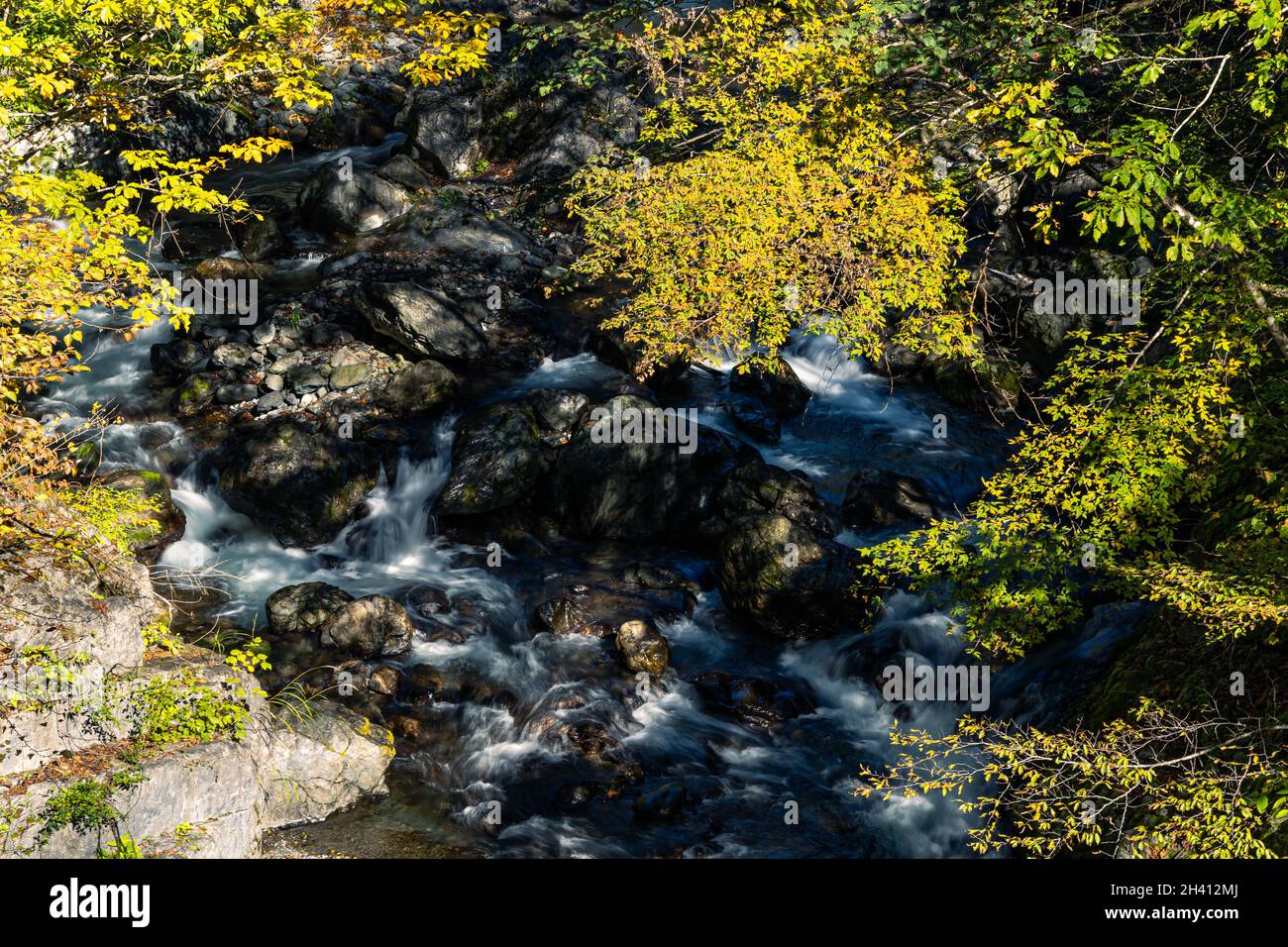 Autumn colours and river.Slow shutter image of Tama river in the ...