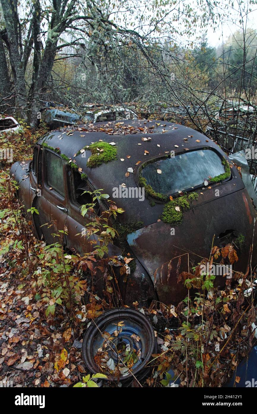 Bastnäs Car Cemetery in October Stock Photo - Alamy