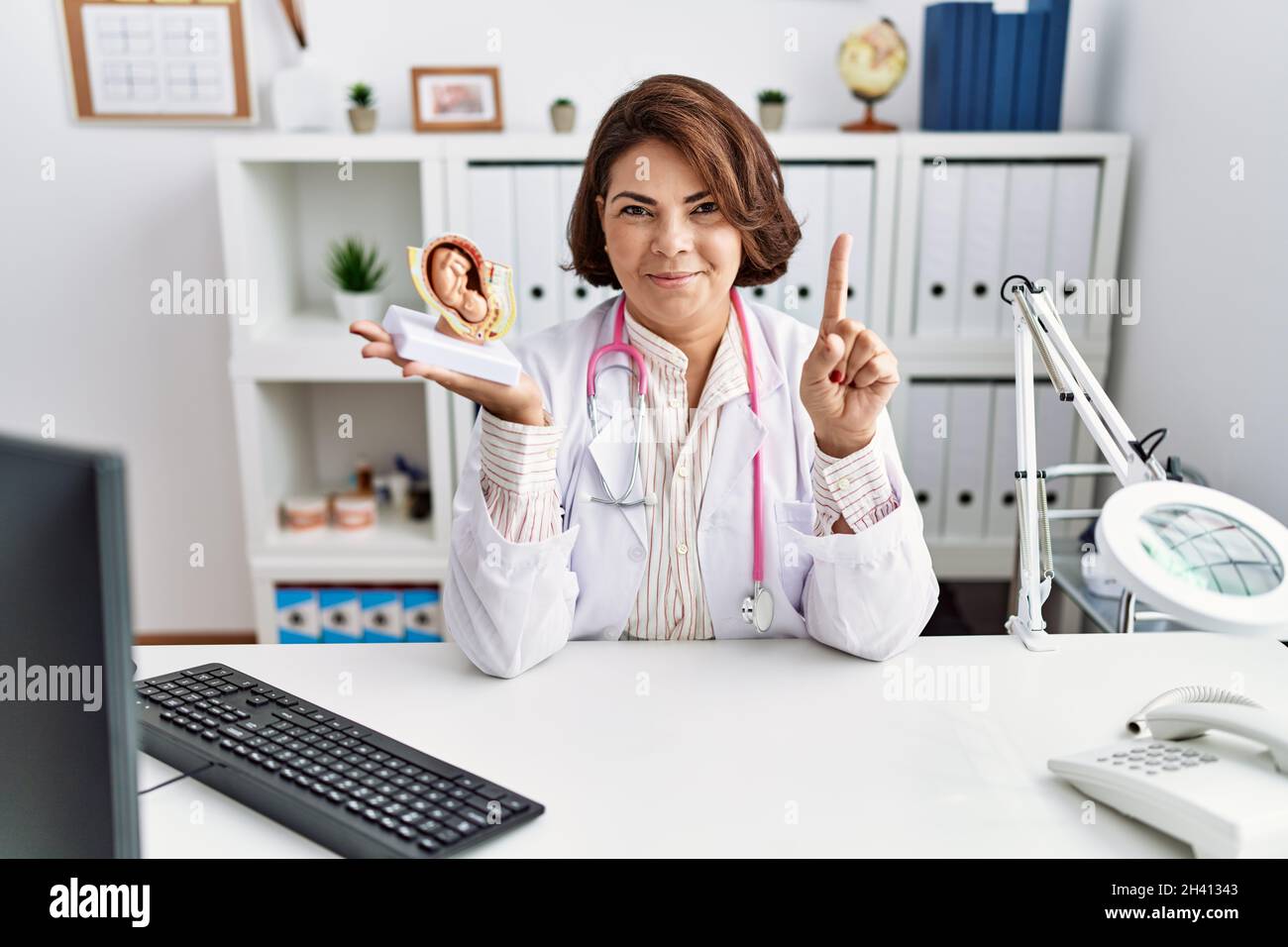 Middle age hispanic doctor woman holding anatomical model of female ...