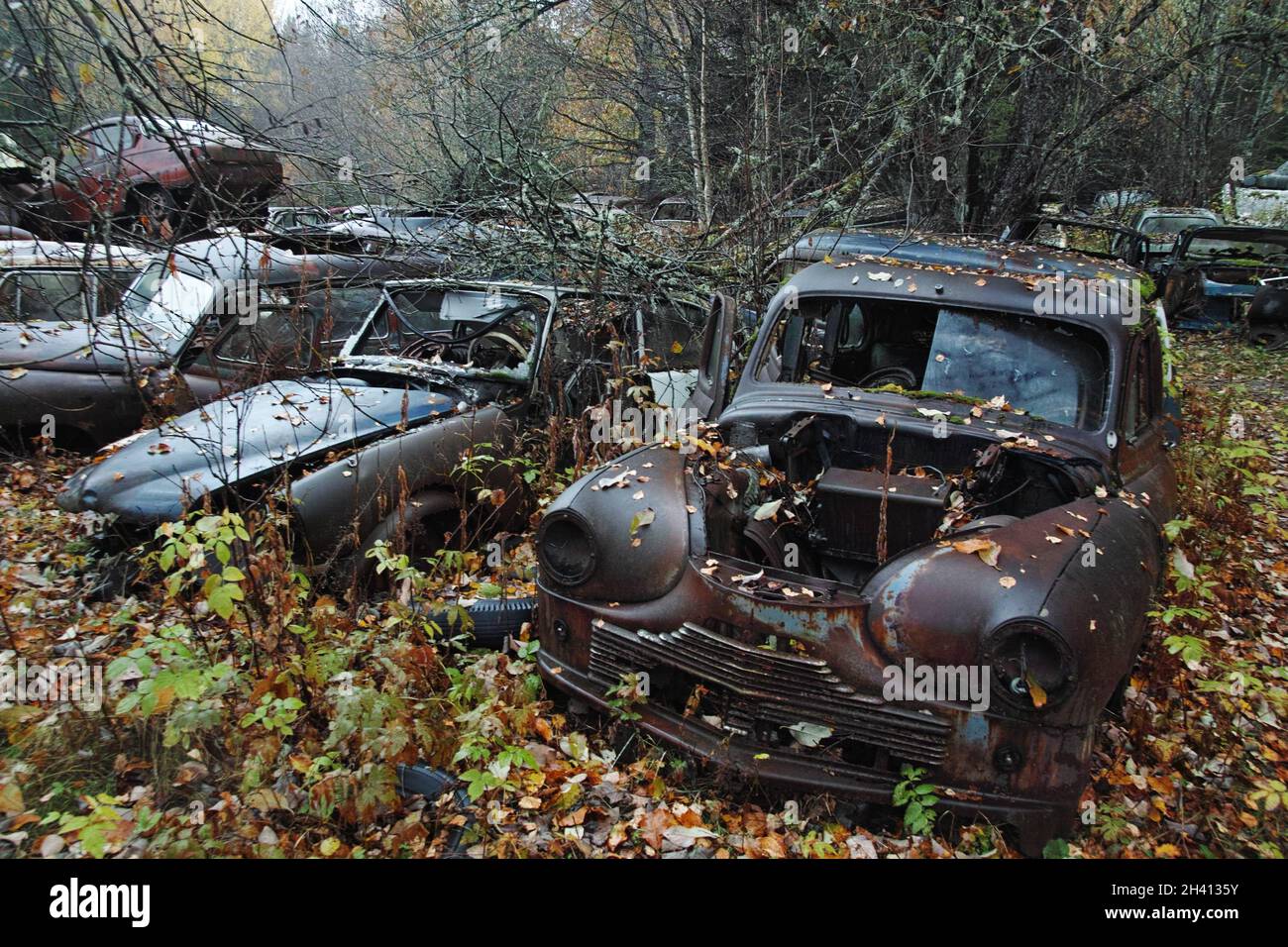 Bastnäs Car Cemetery in October Stock Photo - Alamy