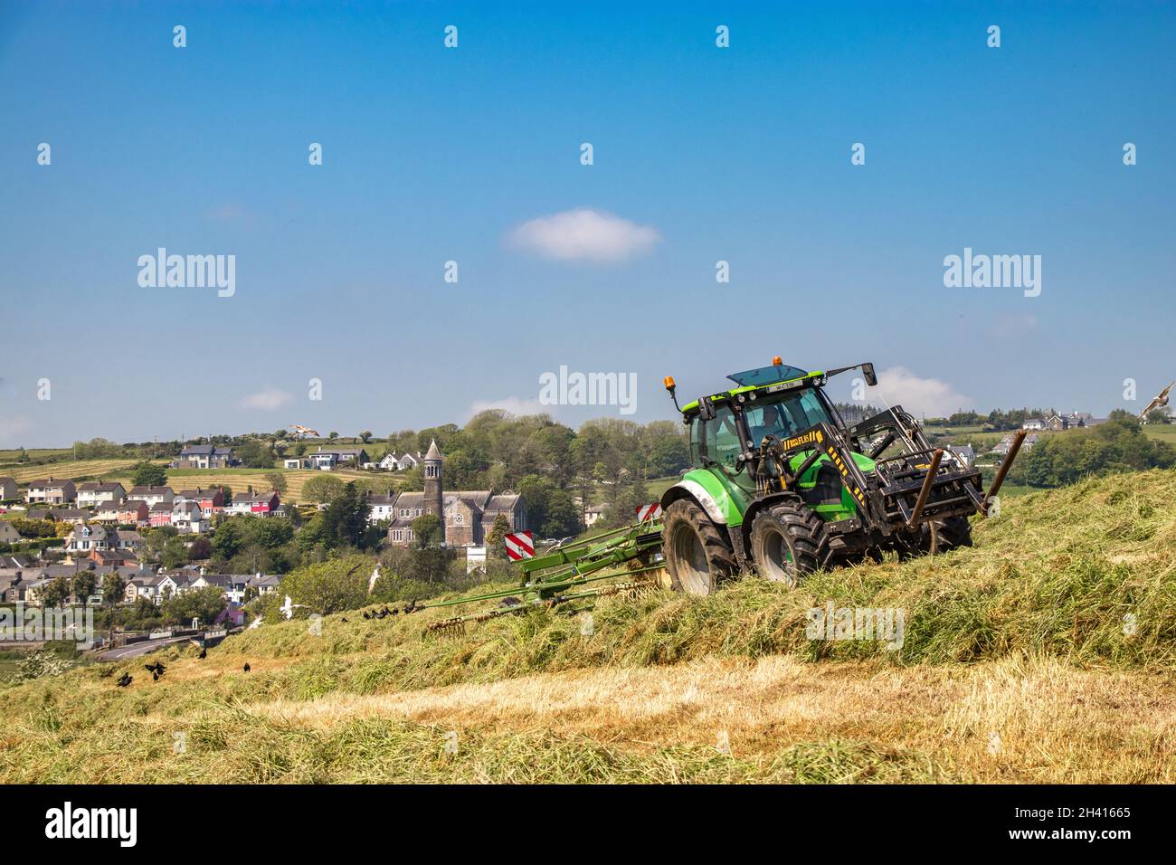 Timoleague wild atlantic way hi-res stock photography and images - Alamy