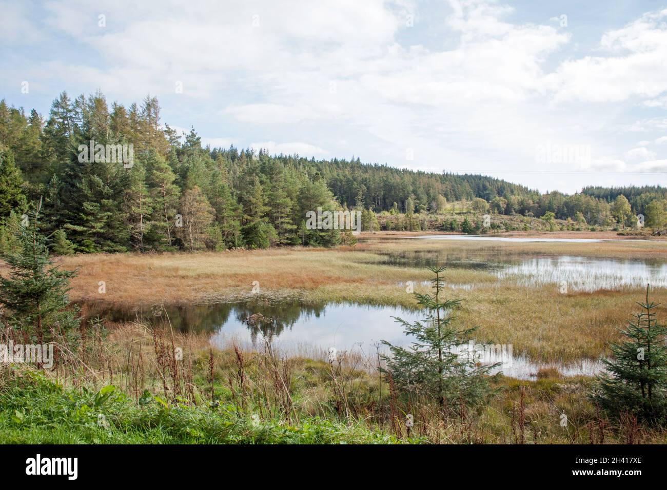 Llyn y Sanau above Betws y Coed the Conway Valley Snowdonia North Wales ...