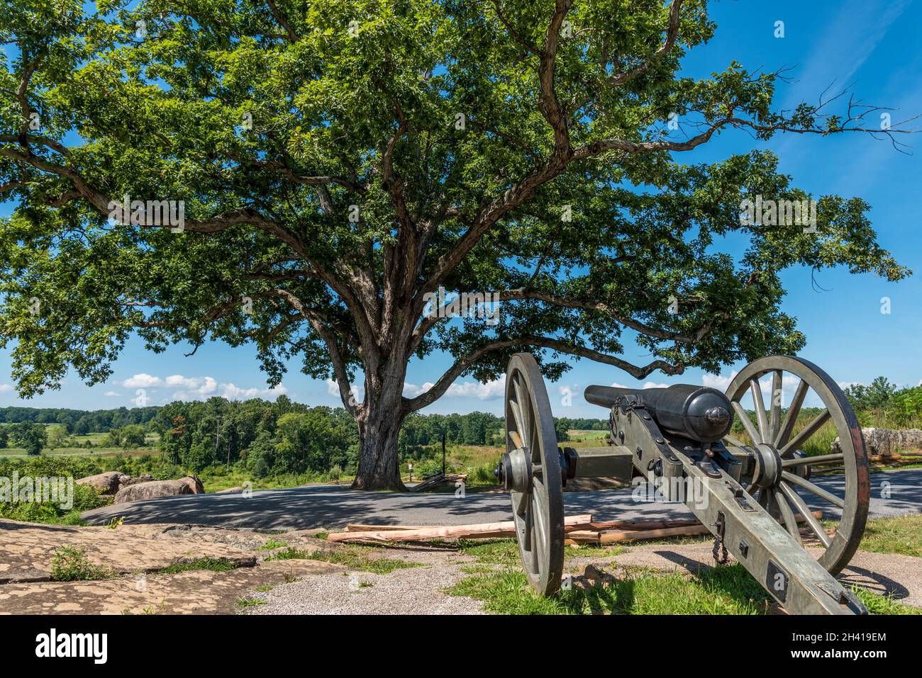 Canon beneath an old beautiful tree in Gettysburg, USA Stock Photo - Alamy