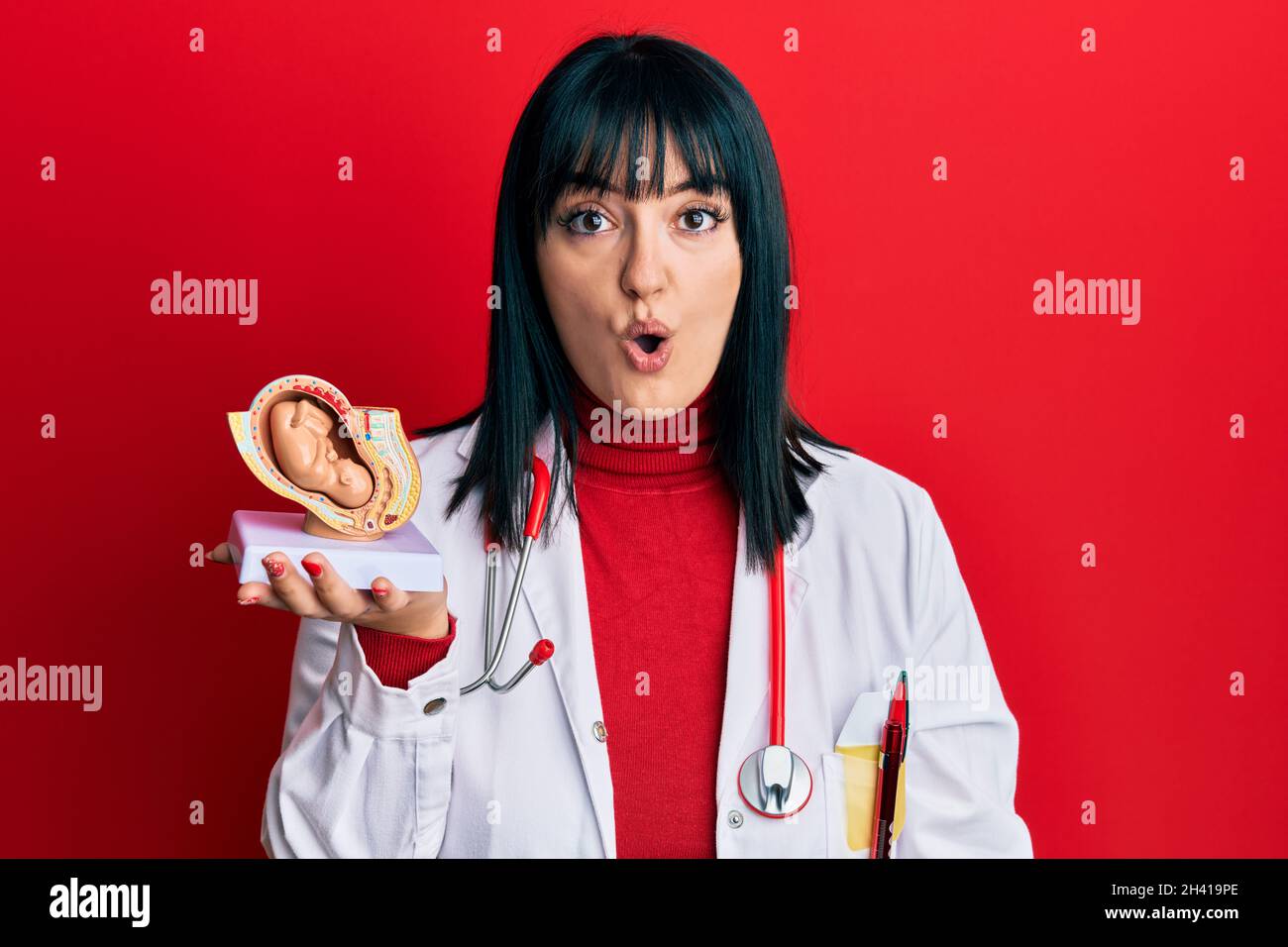 Young hispanic gynecologist woman holding anatomical model of female ...