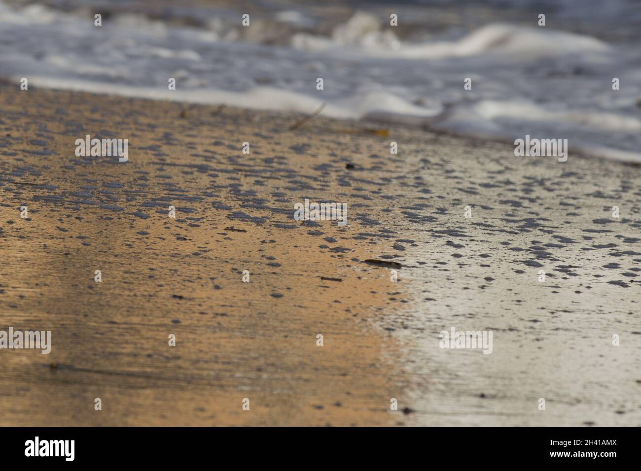 Golden reflection on a Sandy Beach Stock Photo - Alamy