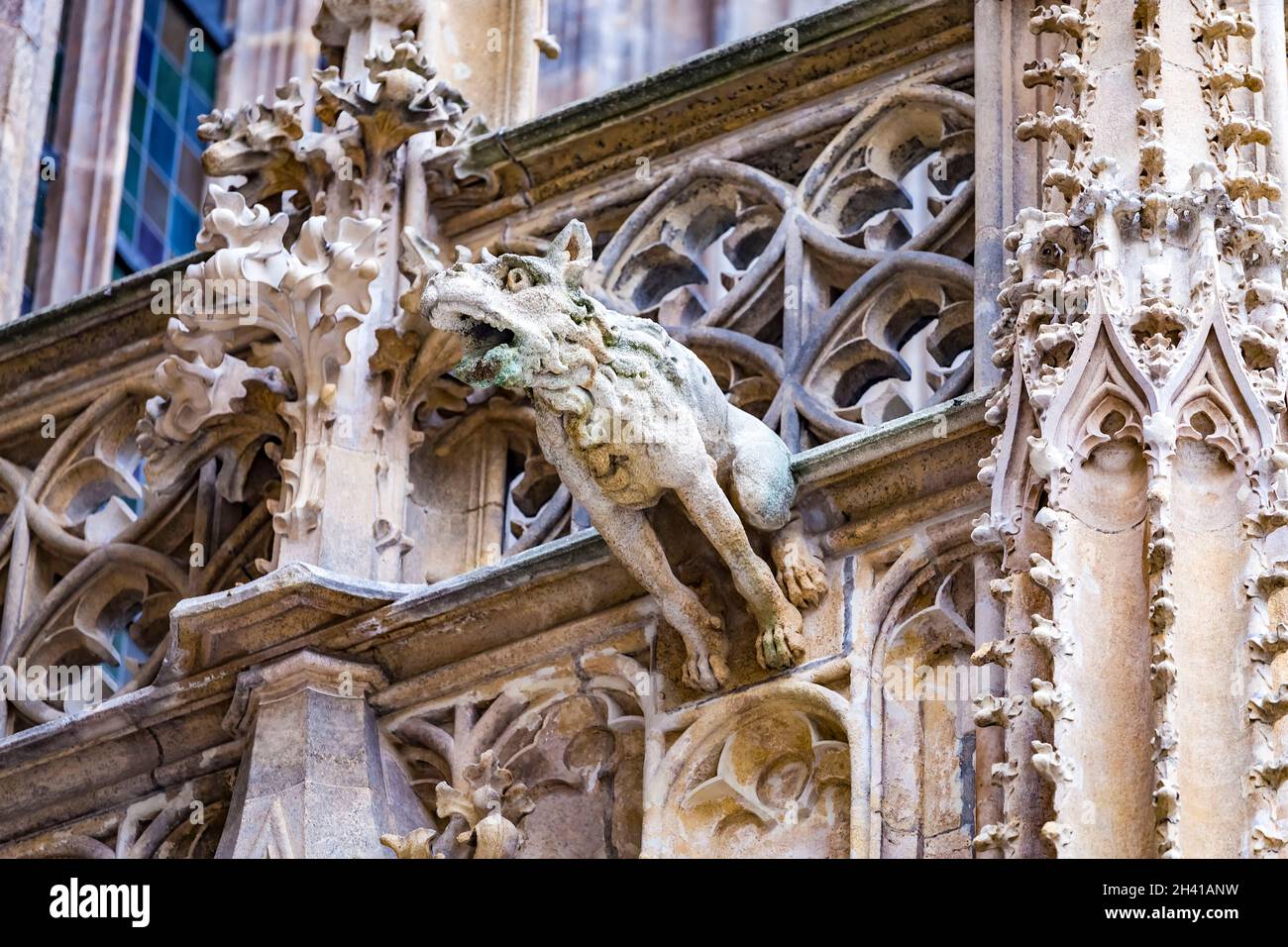 Gargoyle Water Spout High Resolution Stock Photography and Images - Alamy