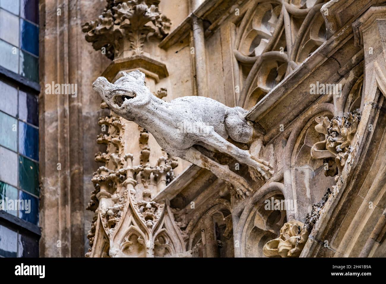 Grotesque gargoyle water spout sculpture on facade of gothic medieval ...