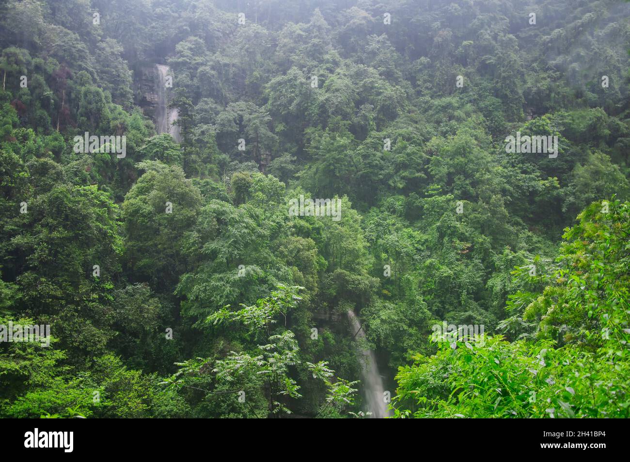 mount Emei Natural Ecology Monkey Reserve landscape and waterfalls in ...