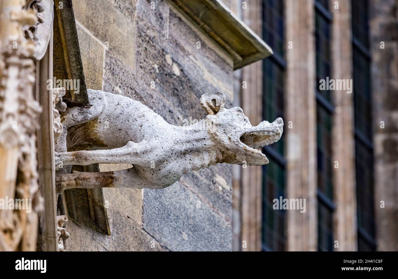 Gargoyle water spout hi-res stock photography and images - Alamy