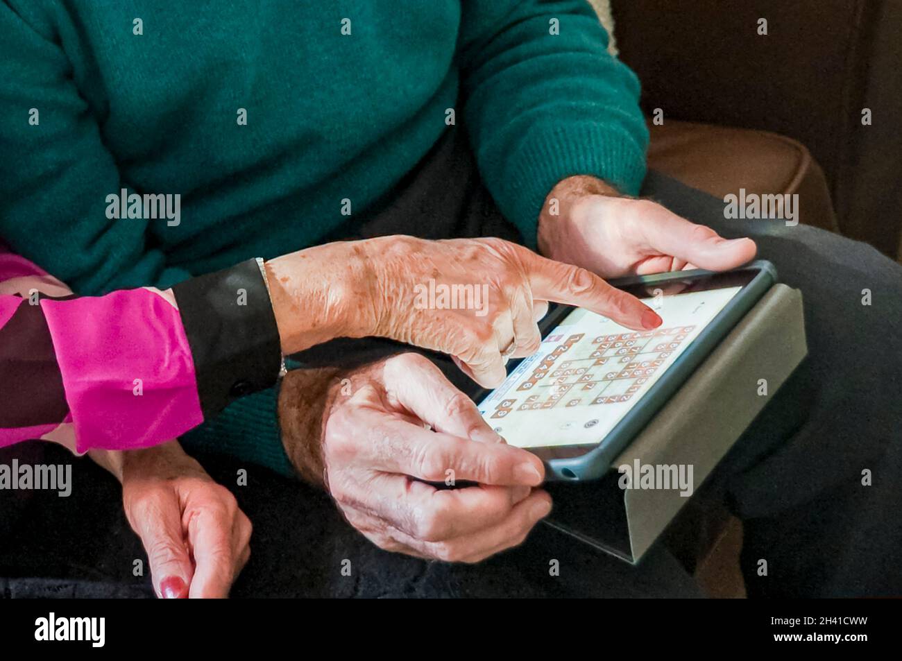 Elderly hands dog hi-res stock photography and images - Alamy