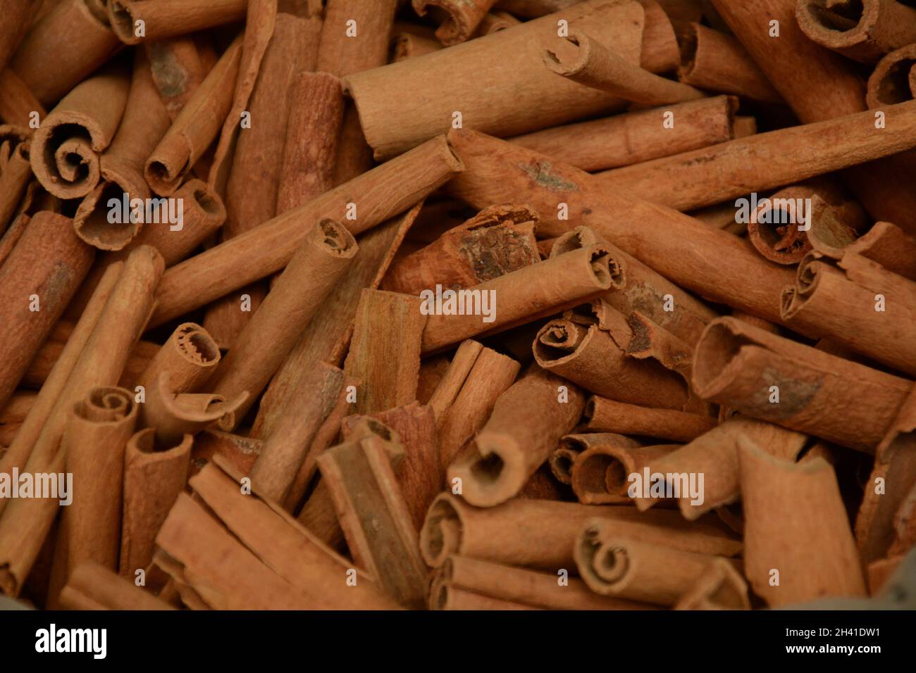 Dried bark strips hi-res stock photography and images - Alamy