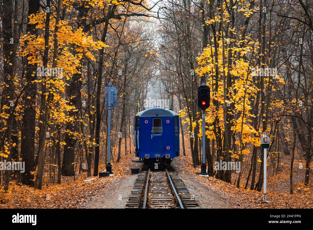 Railroad single track through the woods in autumn. Fall landscape. red ...