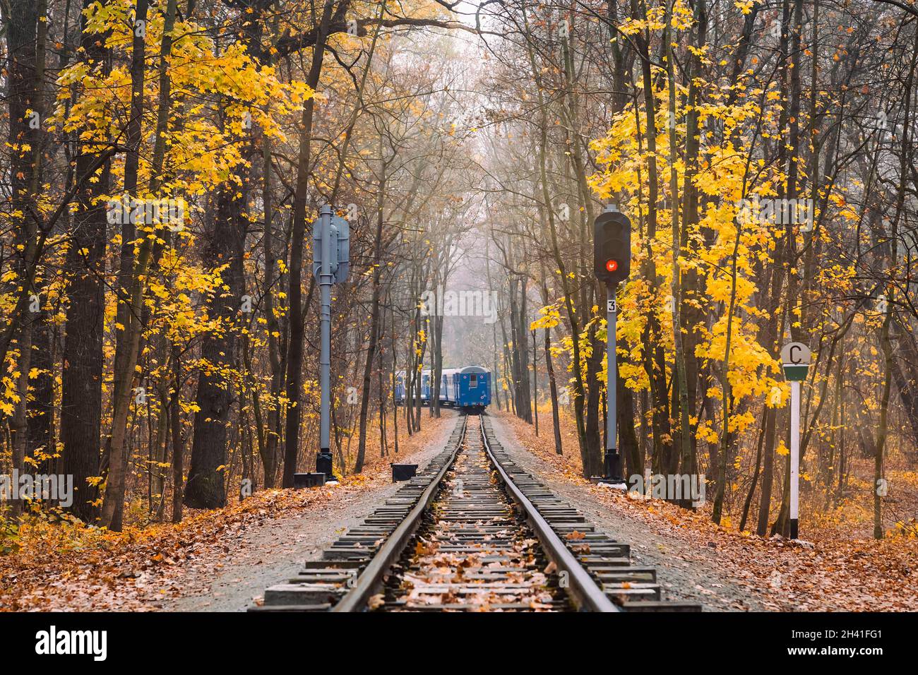 Old vintage blue railway train back view on the track rails goes away ...