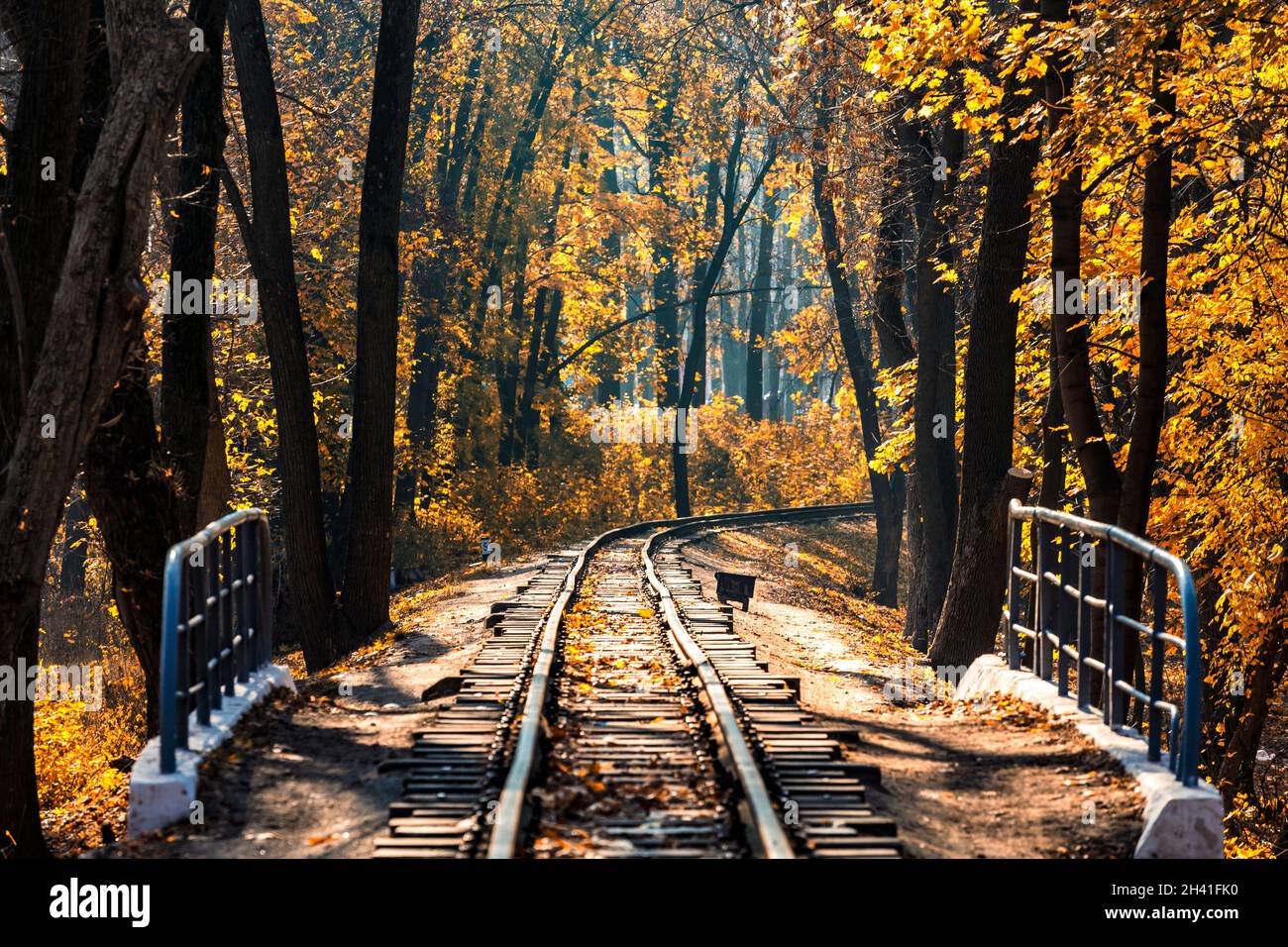 Railroad single track through the woods in autumn. Fall landscape Stock ...