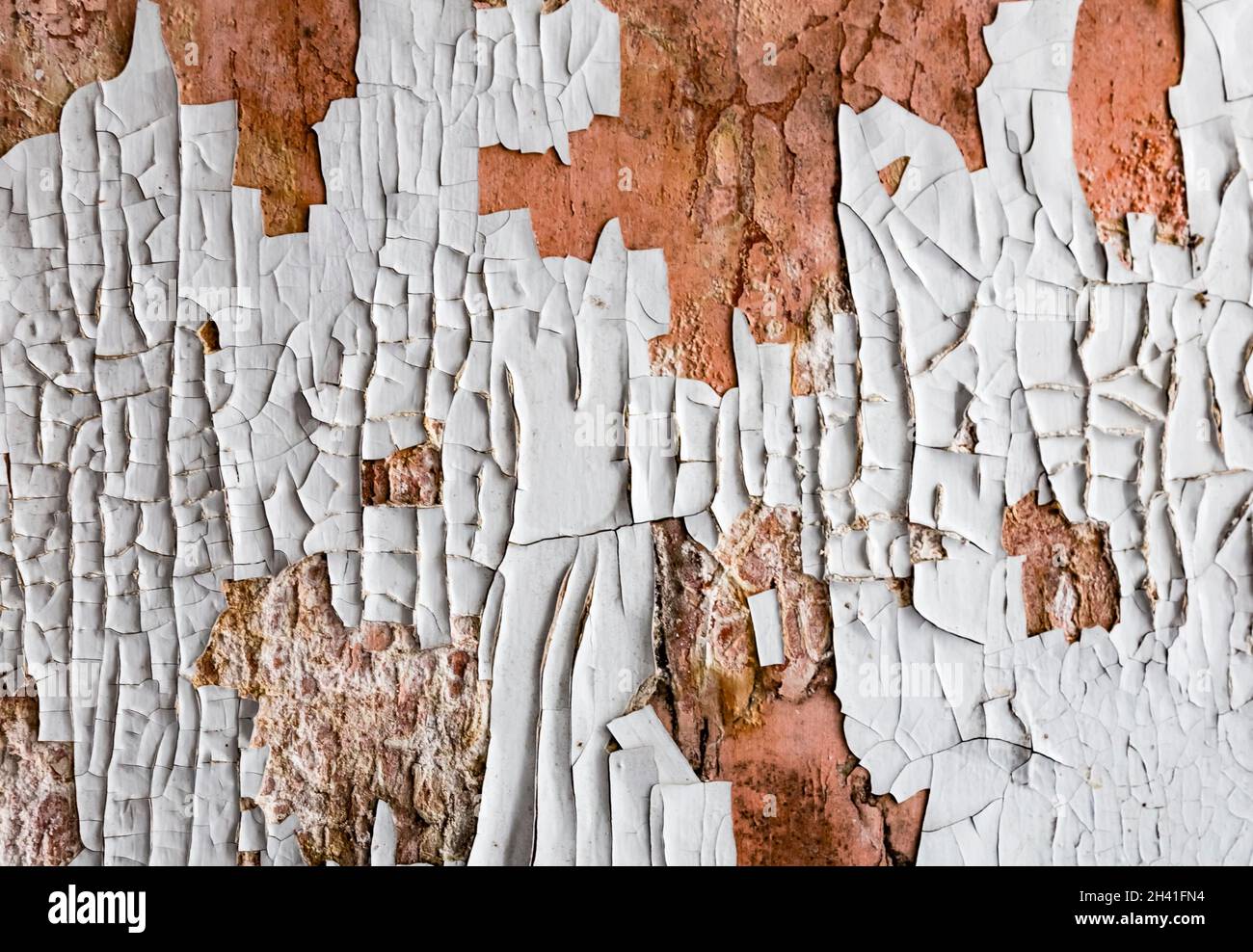 Old cracked white paint peeling off from wall texture background. Close ...