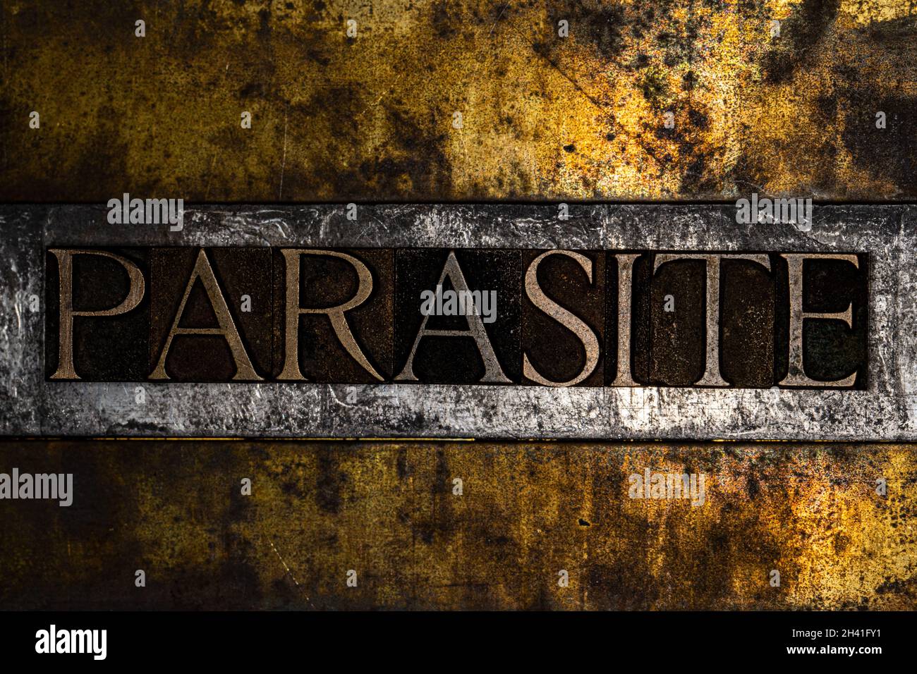 Parasite text message on textured grunge copper and vintage gold ...