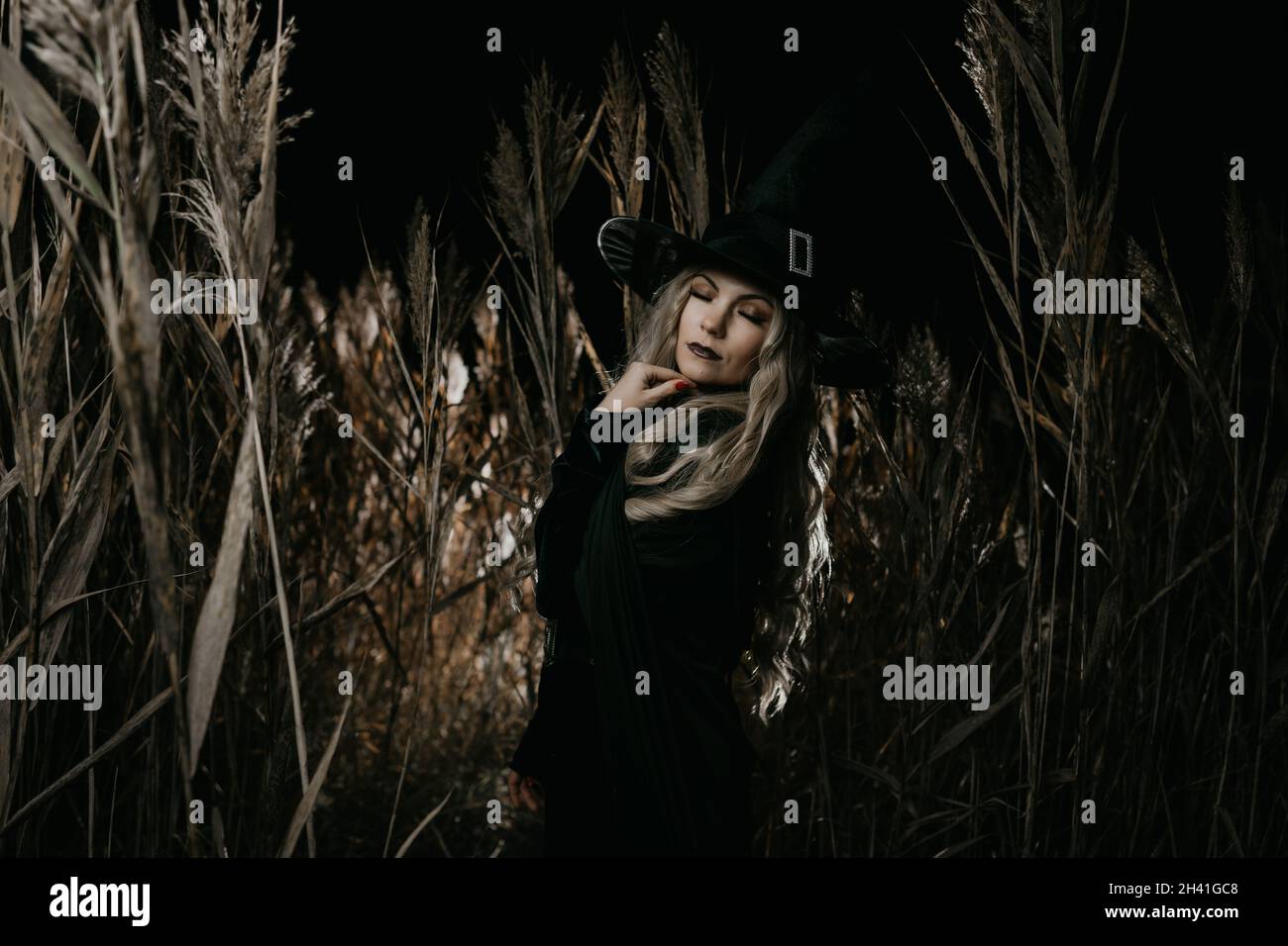 Blonde witch in black cape and hat posing in reeds field at night ...
