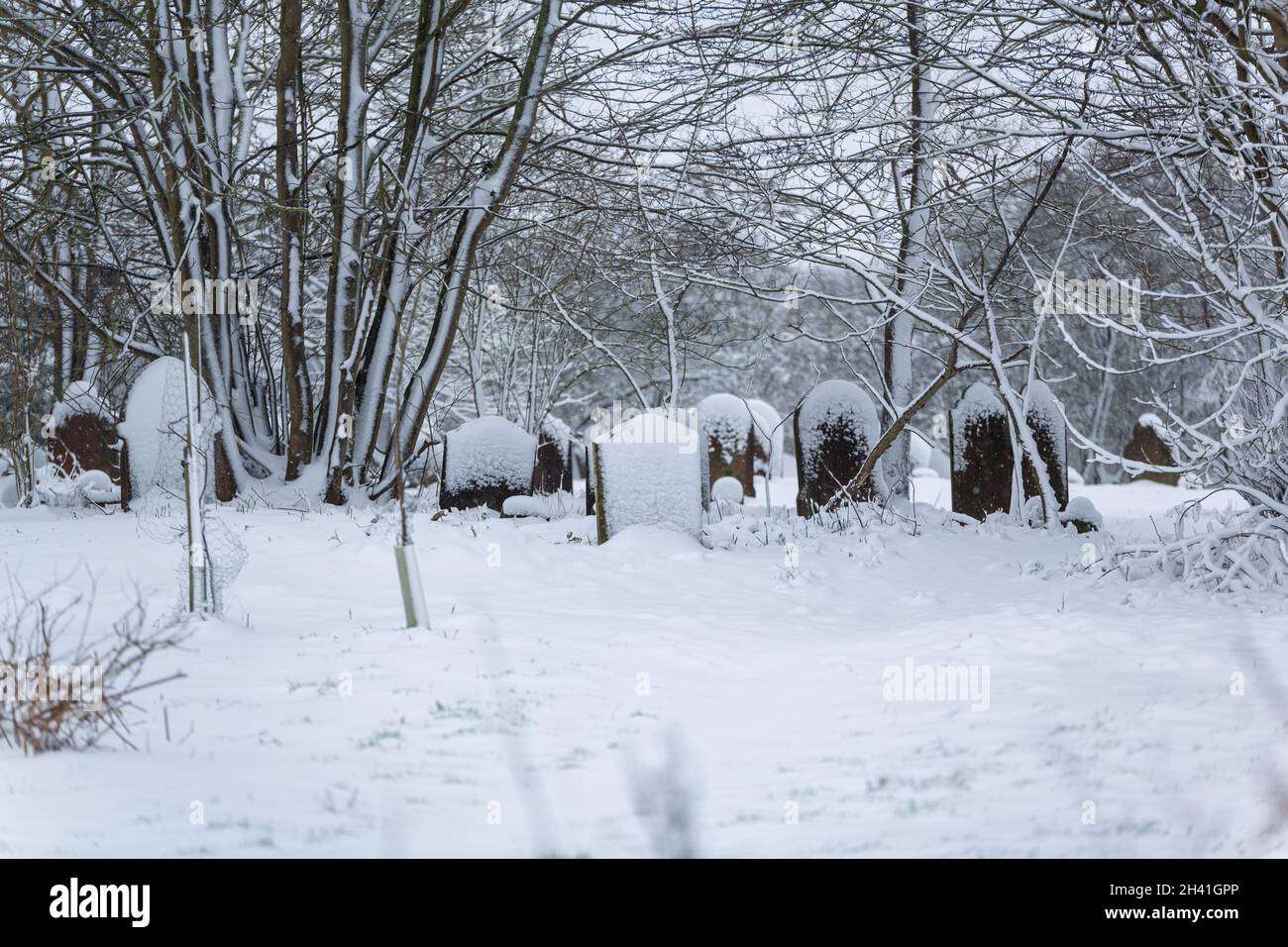 A winter graveyard with freshly fallen snow covering the grave stones ...