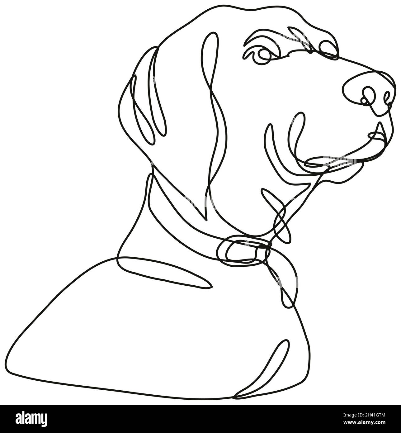 Labrador Retriever Dog Head Looking Up Continuous Line Drawing Stock ...