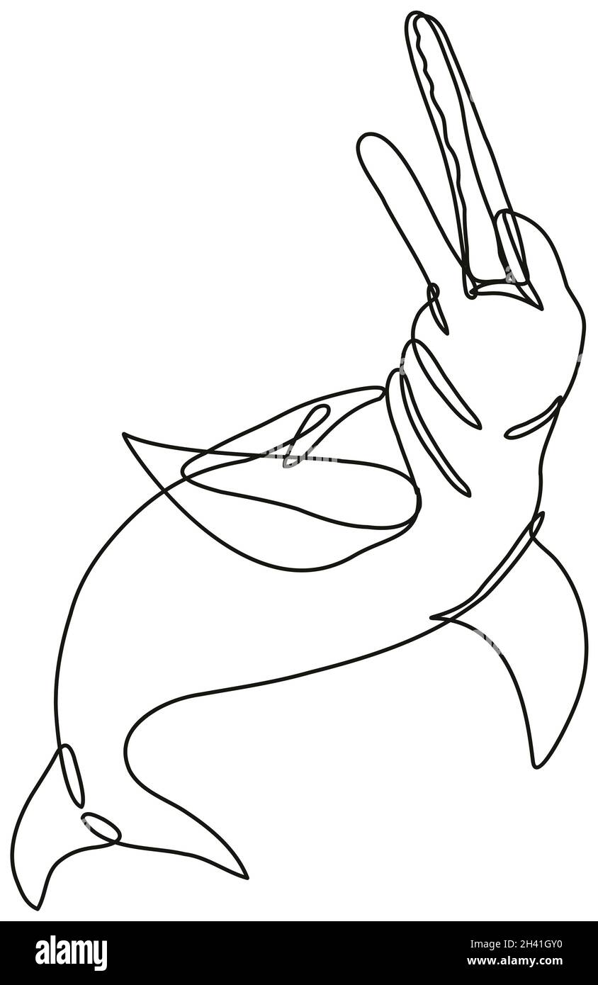 Amazon River Dolphin or Boto Inia Geoffrensis Continuous Line Drawing ...