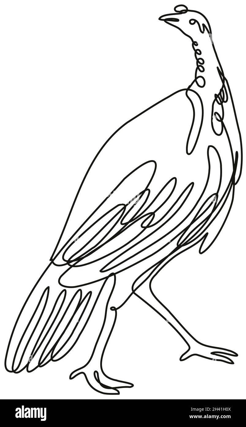 Turkey Viewed from Side Continuous Line Drawing Stock Photo - Alamy