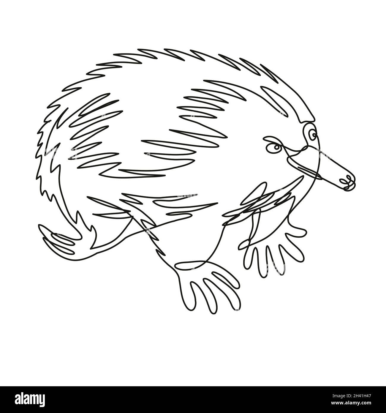 Echidna or Spiny Anteater Side View Continuous Line Drawing Stock Photo ...