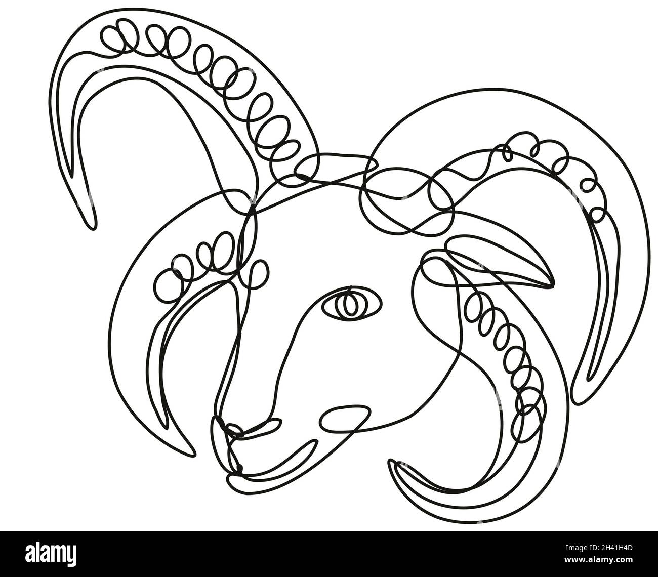 Head of Manx Loaghtan Sheep Continuous Line Drawing Stock Photo - Alamy
