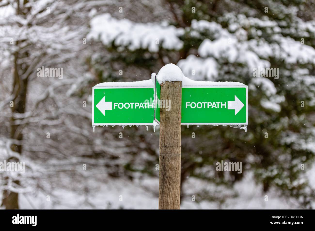 Exploring the countryside exploring the countryside hi-res stock ...