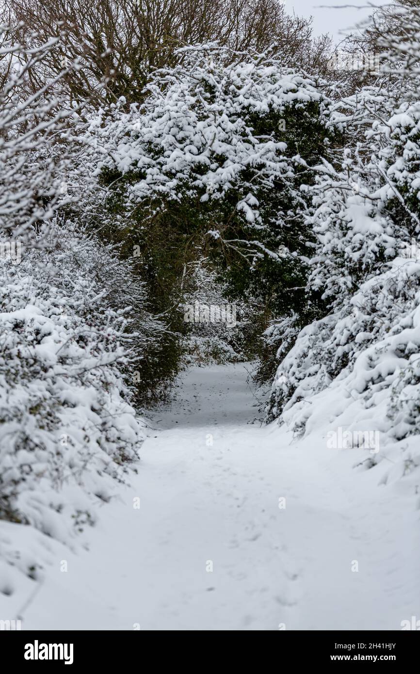 A snow covered rural path and landscape leading off in to the distance ...