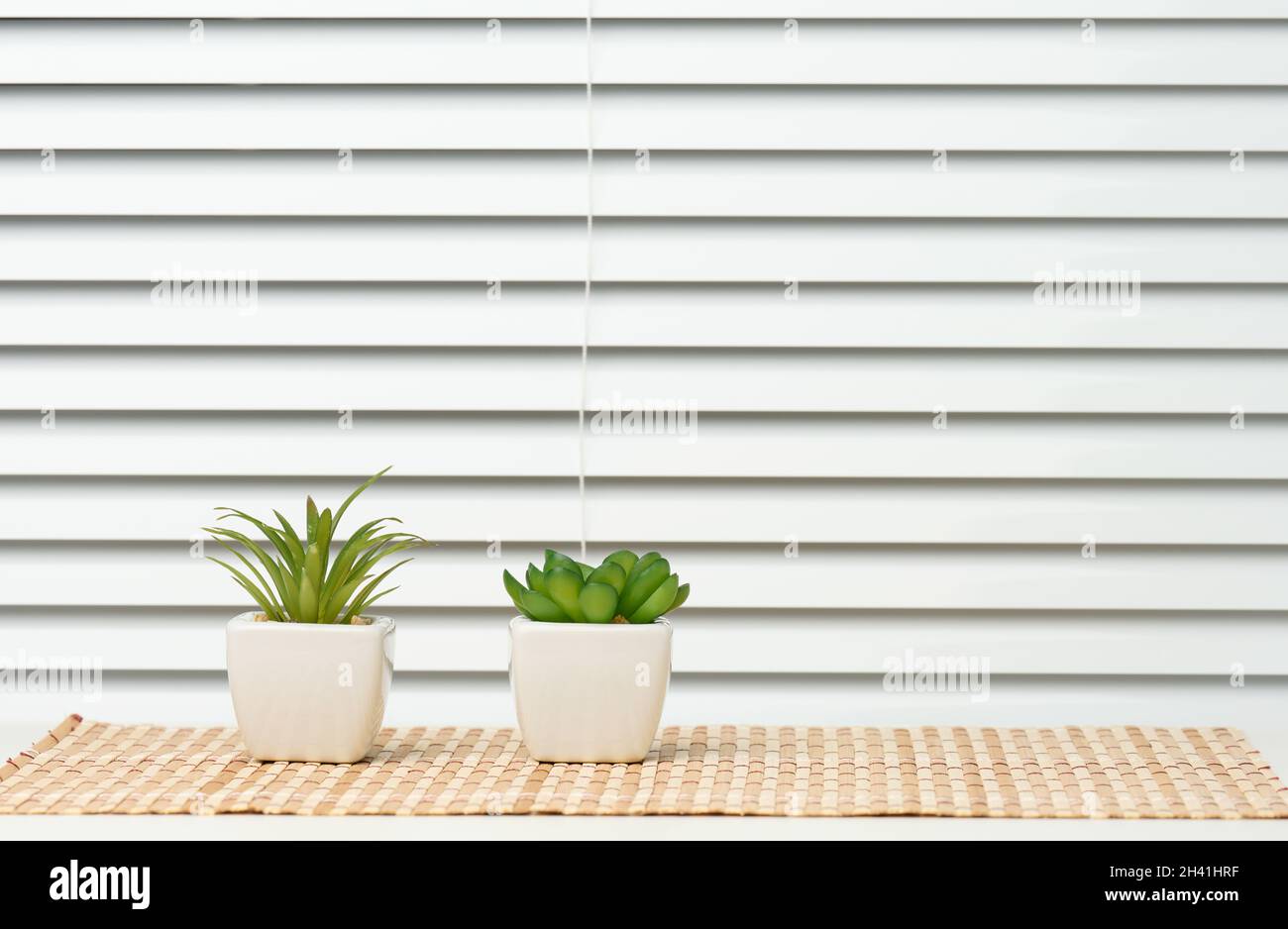 Ceramic potted plants hi-res stock photography and images - Alamy