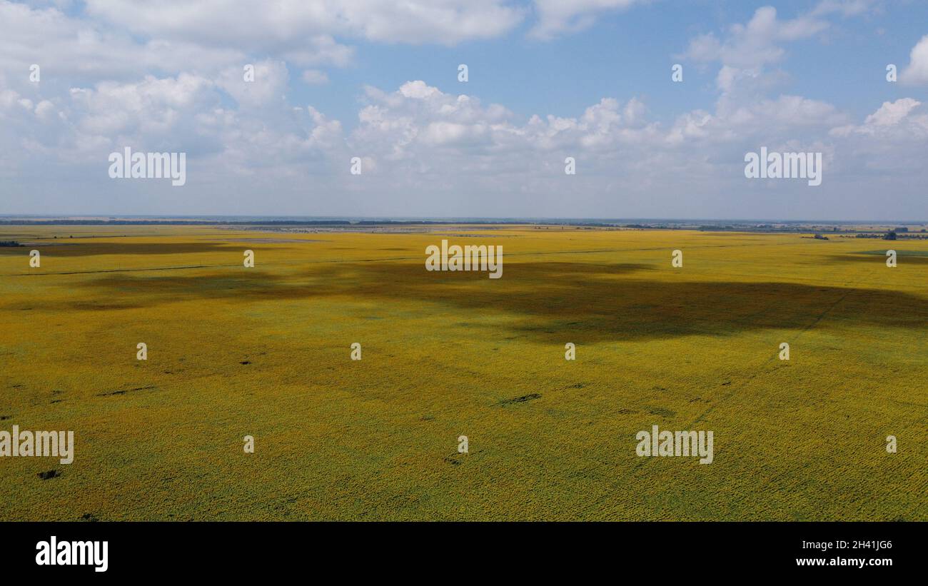 Cloud shadows on field hi-res stock photography and images - Alamy