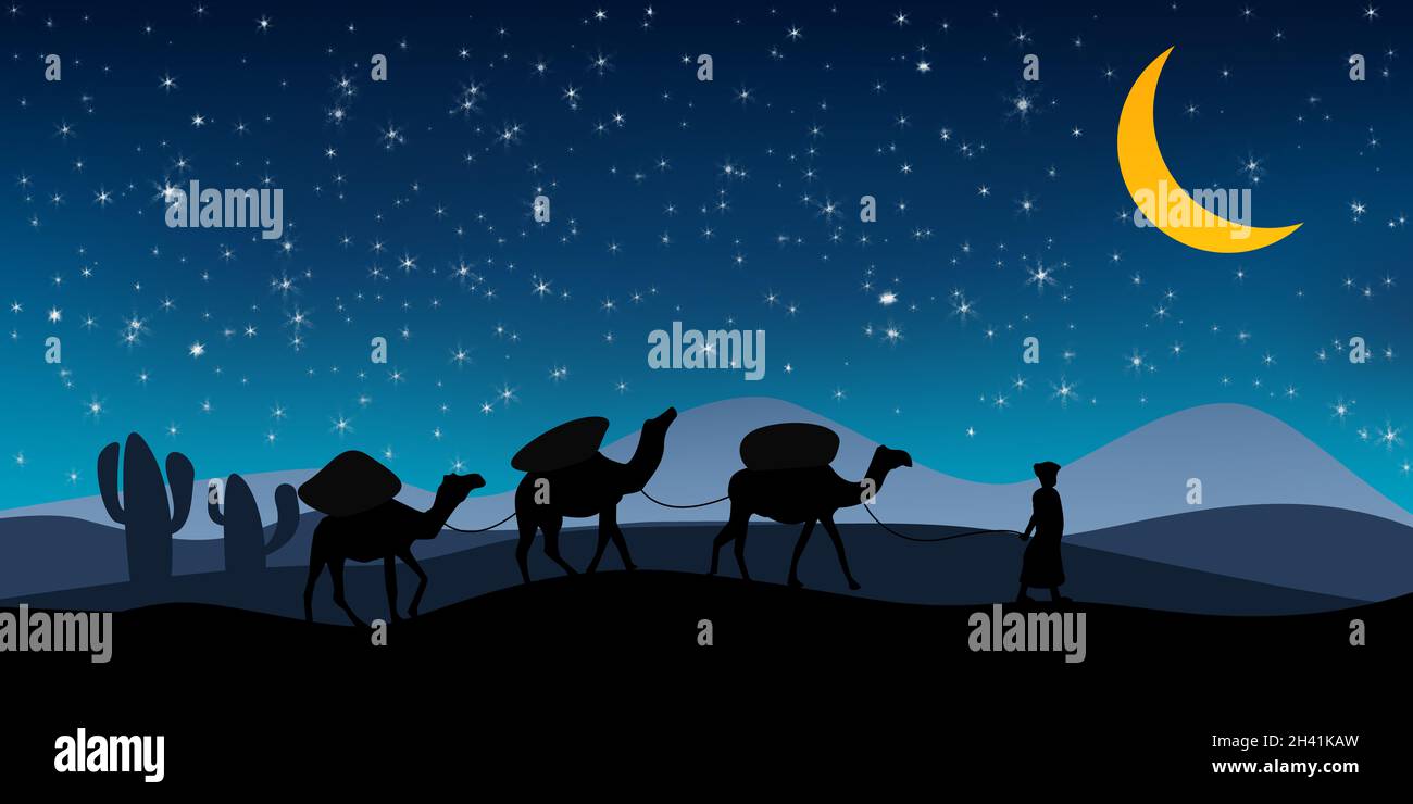 Camel night sky desert hi-res stock photography and images - Alamy