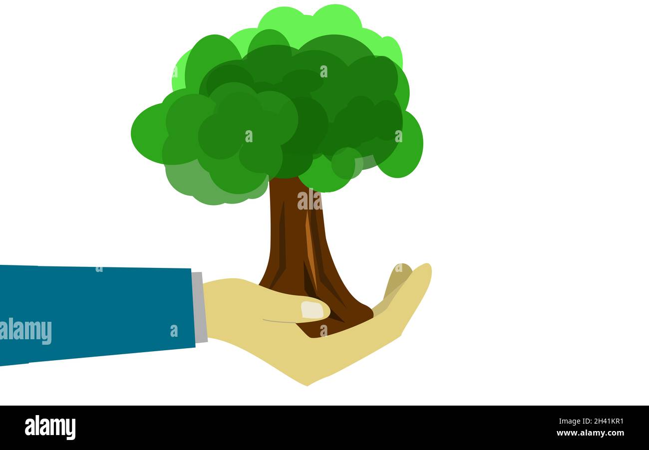 Hand holding tree growing Cut Out Stock Images & Pictures - Alamy