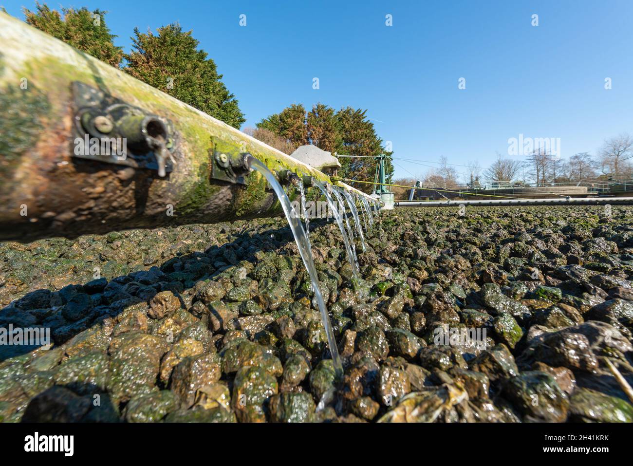 Rotary arm discharging waste water on filter bed, sewage treatment ...