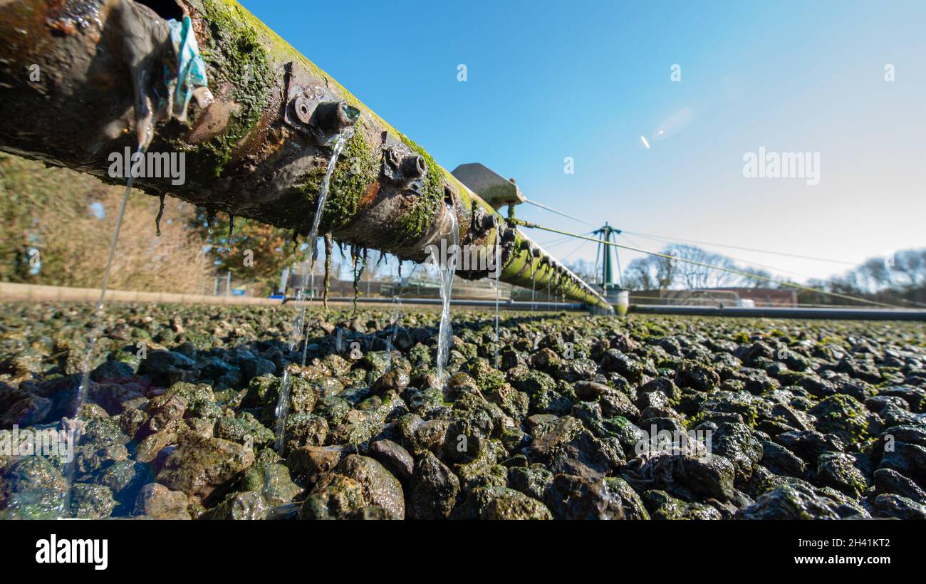 Rotary arm discharging waste water on filter bed, sewage treatment ...