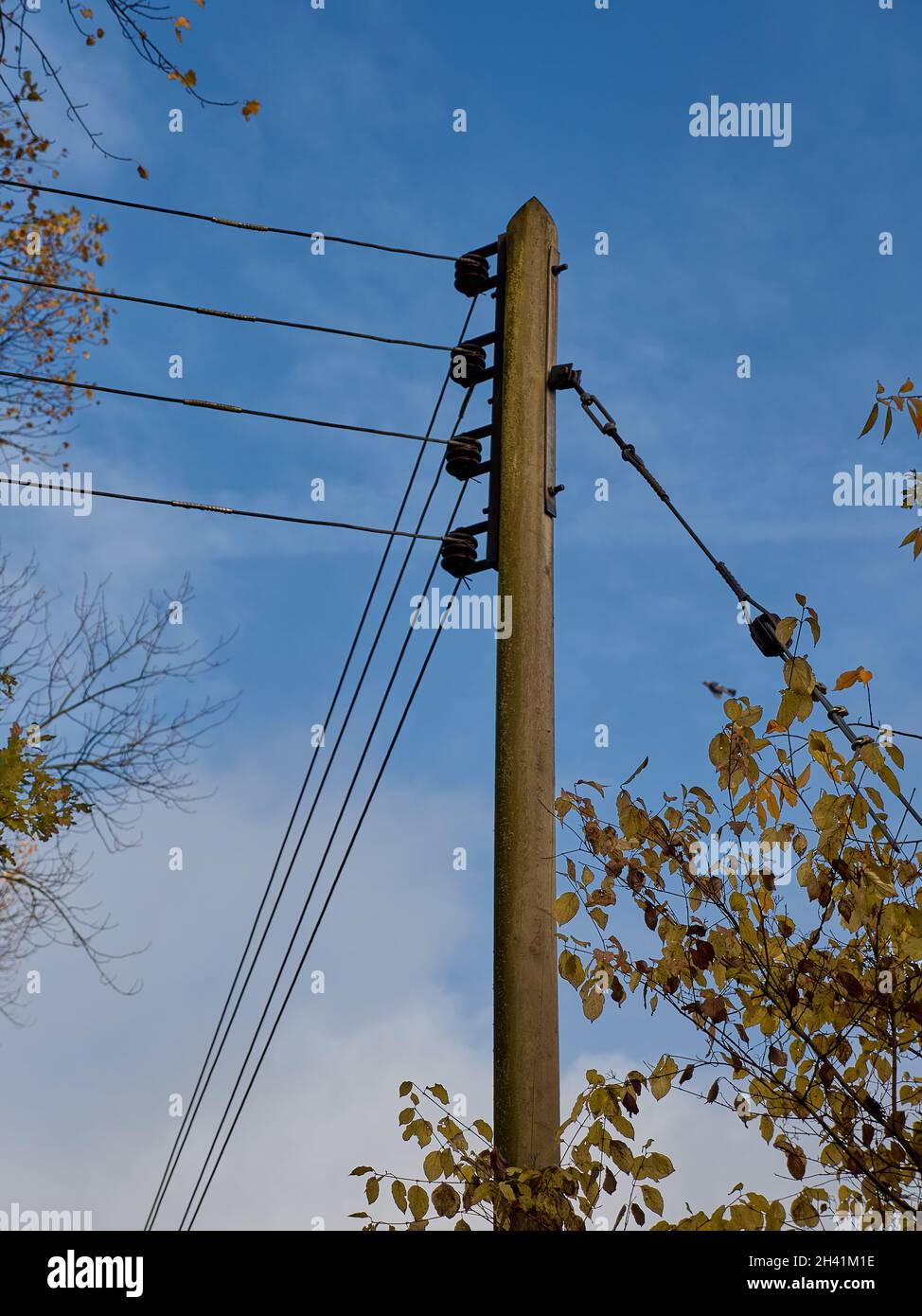 Old telephone pole hi-res stock photography and images - Alamy