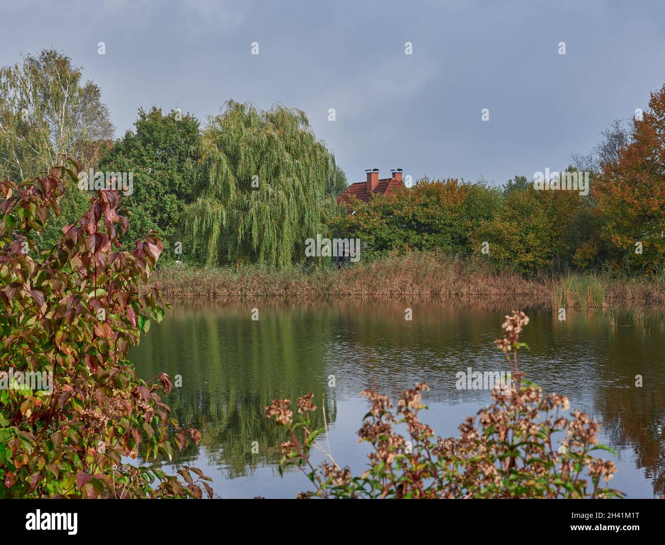 A Pond in the forest with house Stock Photo - Alamy