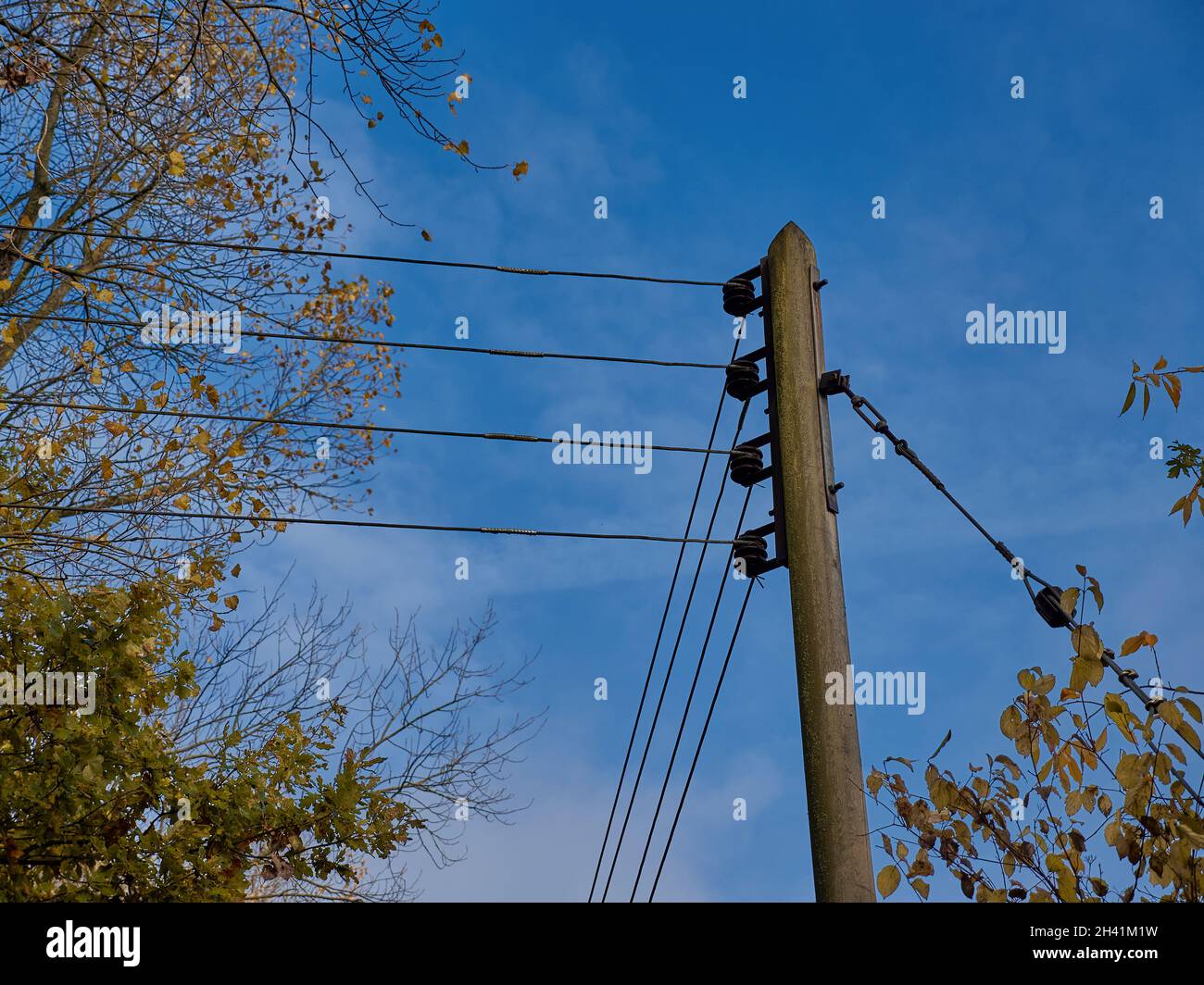 Canted Telephone Poles