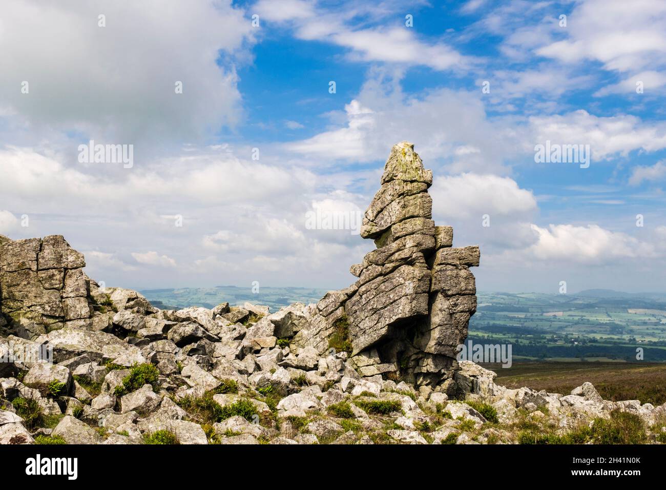 Manstone Rock quartzite outcrop along Stiperstones hill summit ridge ...