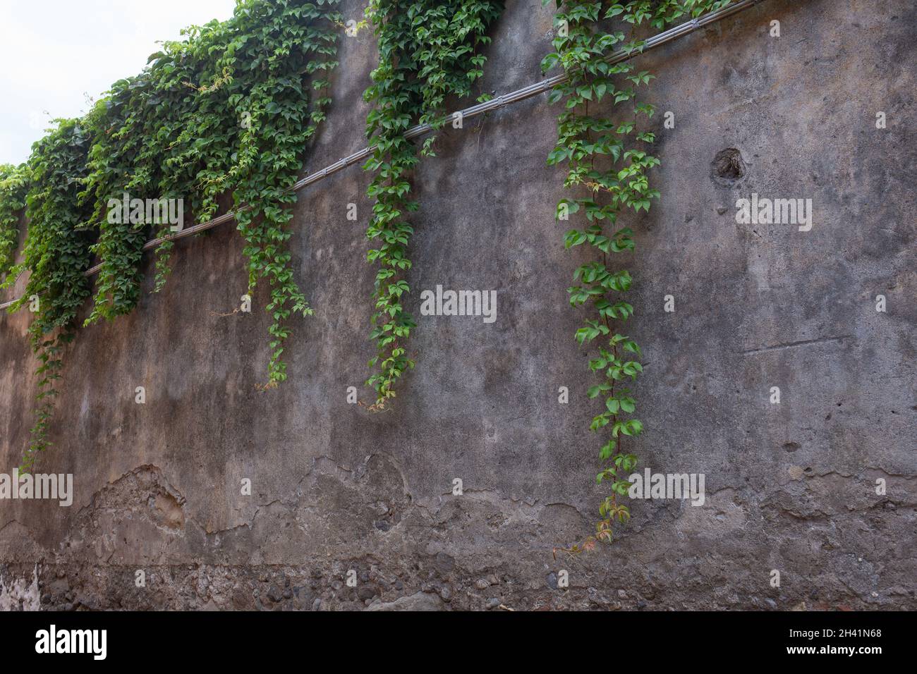 Riposto, Sicily - 17 July 2020: old town Riposto, street and buildings ...