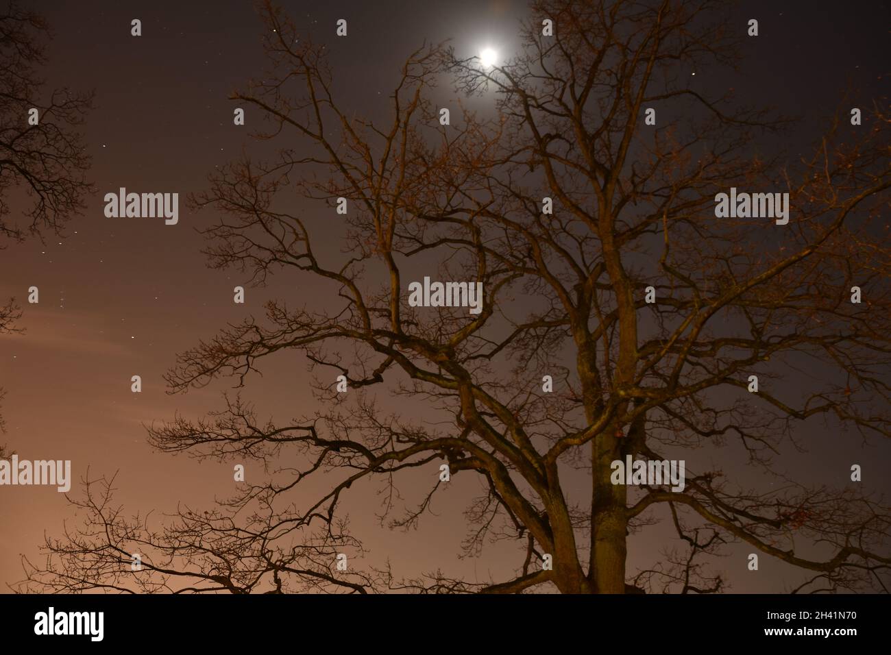 Himmel stern hi-res stock photography and images - Alamy