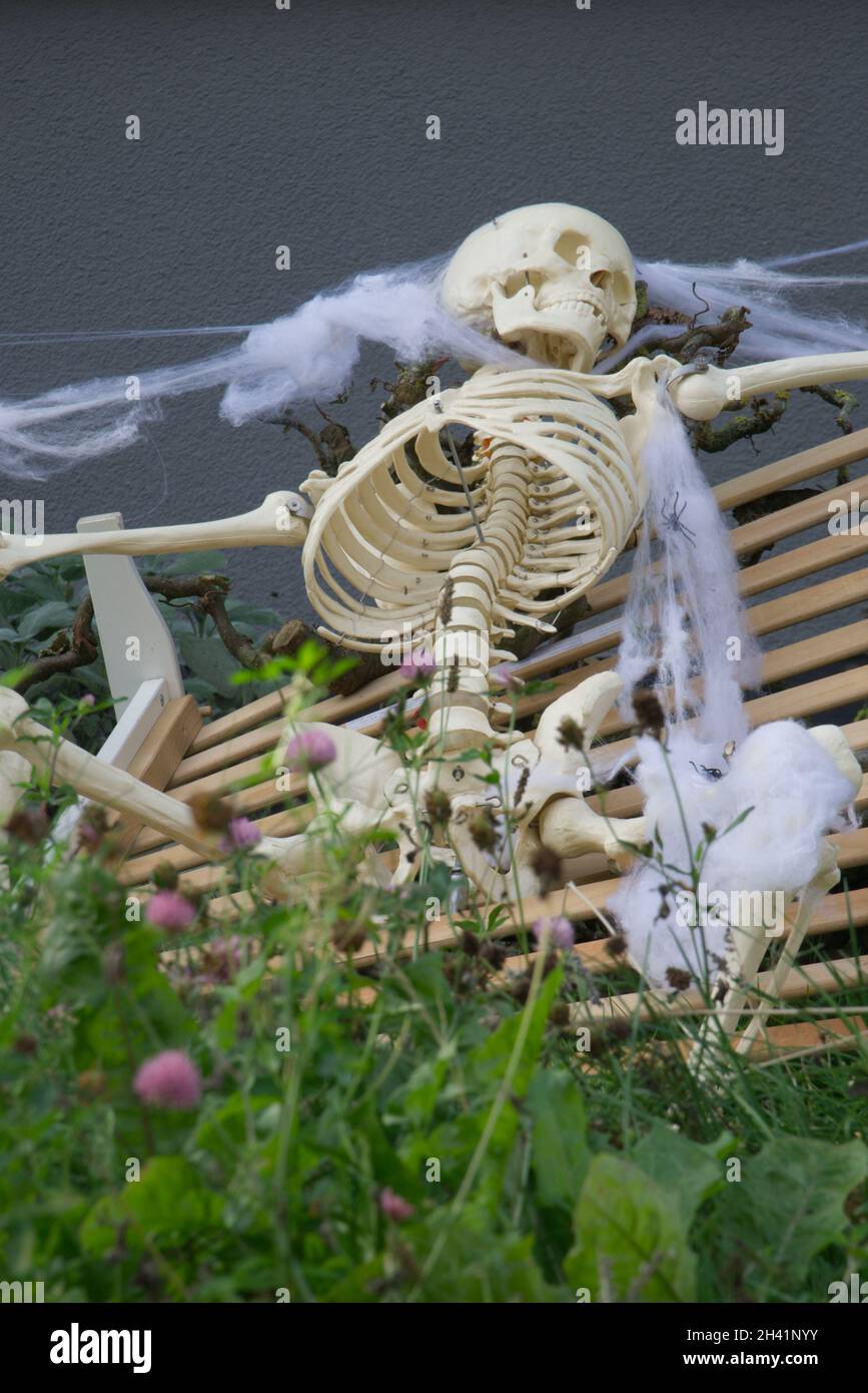 Skeleton laying down hi-res stock photography and images - Alamy